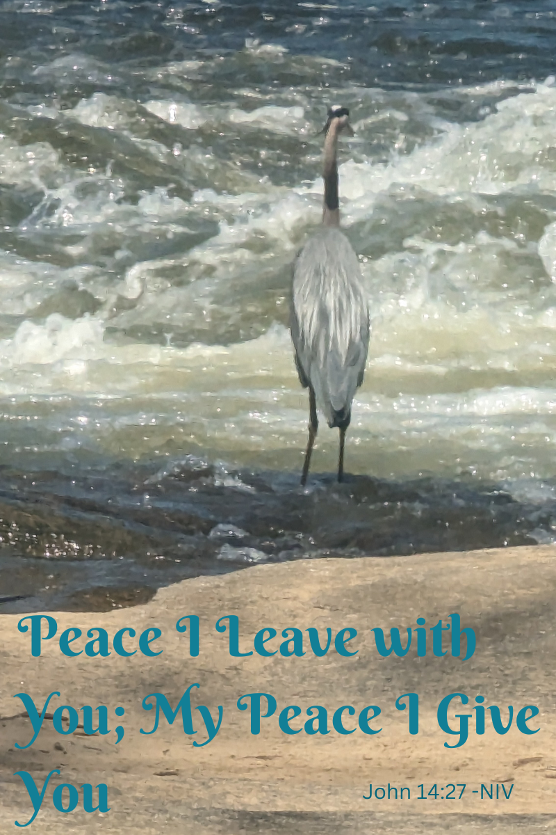 Peace in Patience – You and I Inspired Me